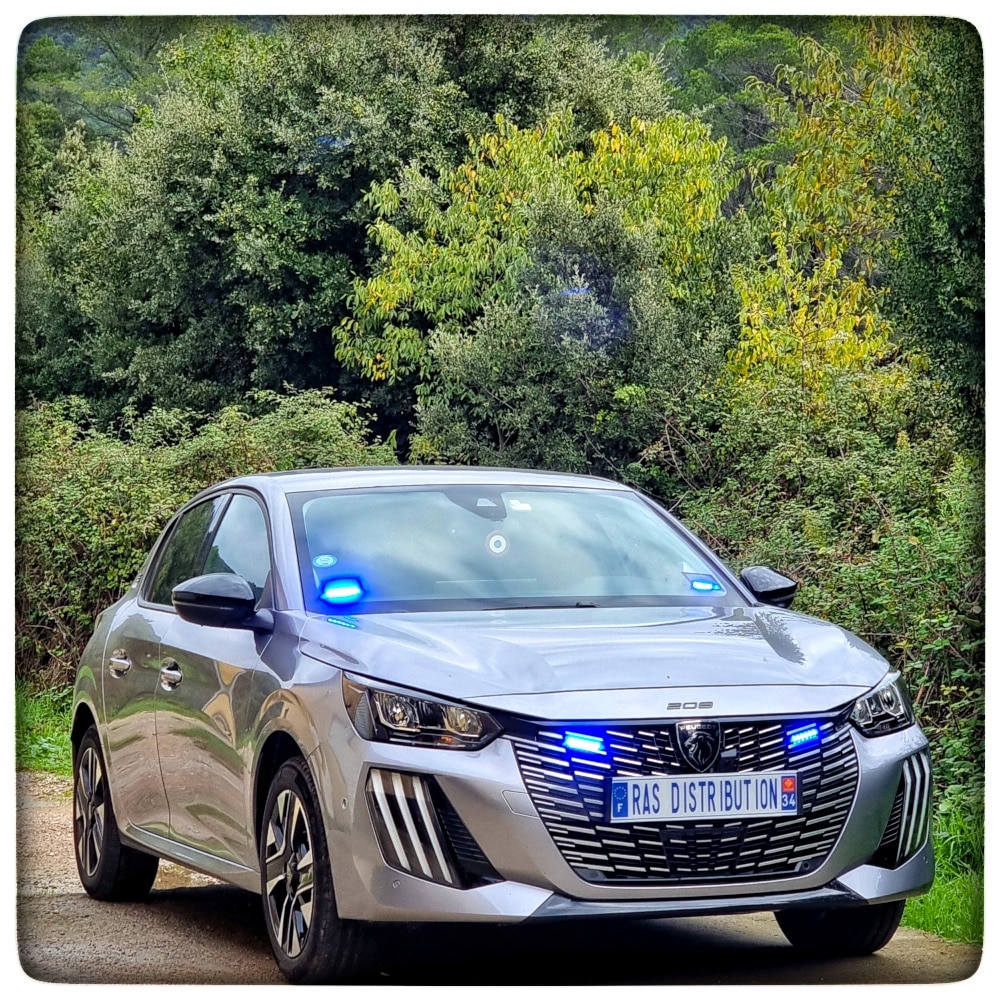 PEUGEOT e-208 Banalisée - Véhicule Officiel (Hérault) - RAS ...