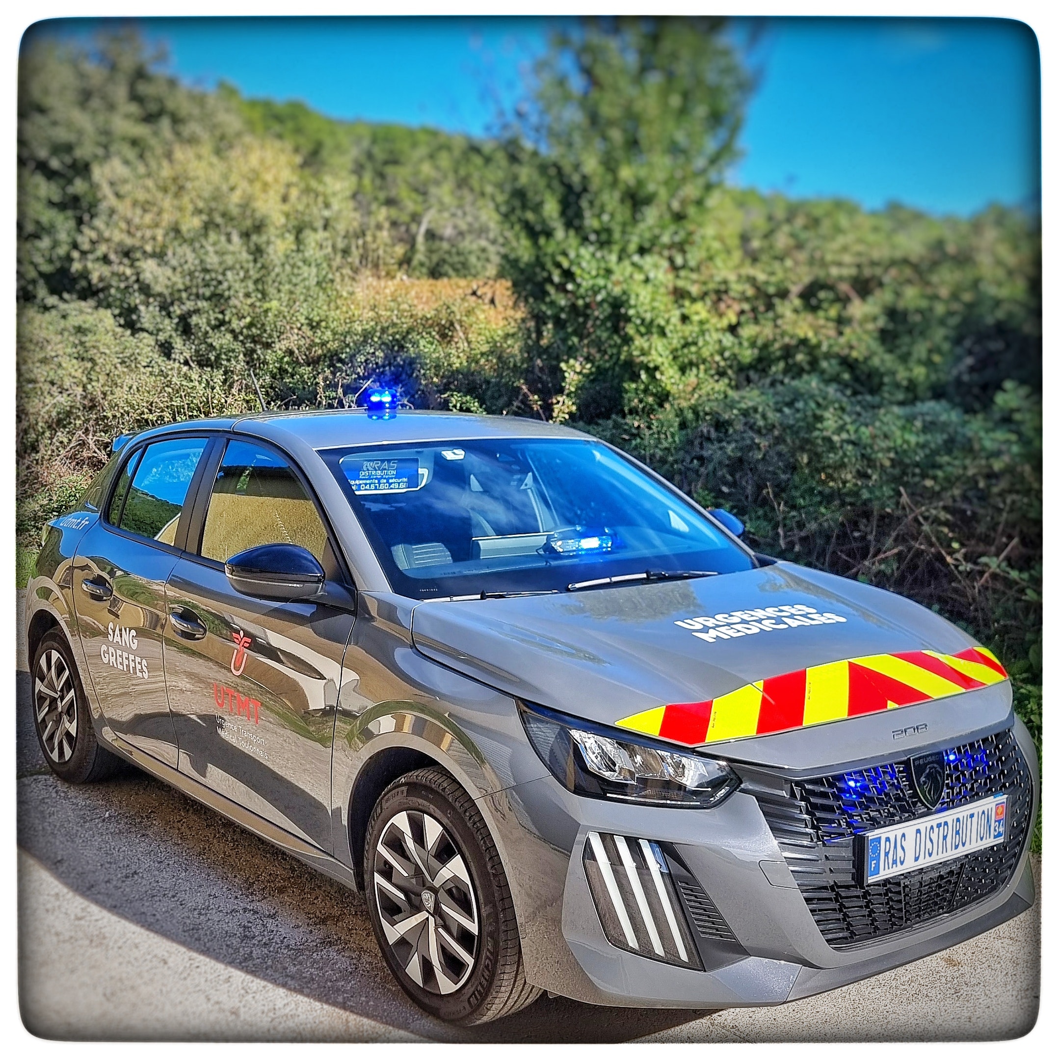 PEUGEOT 208 Hybride Urgence Transport Médical Toulonnais (UTMT) - Six ...